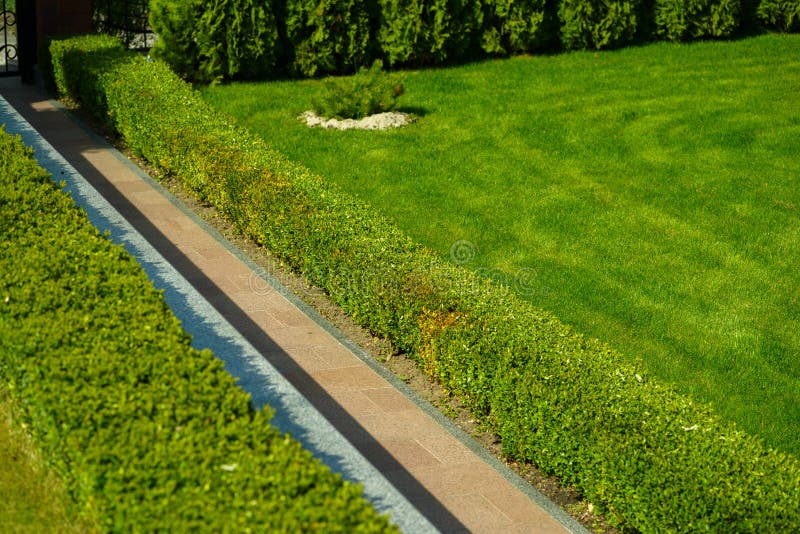 Bushes in landscape design stock image. Image of flower - 131543793