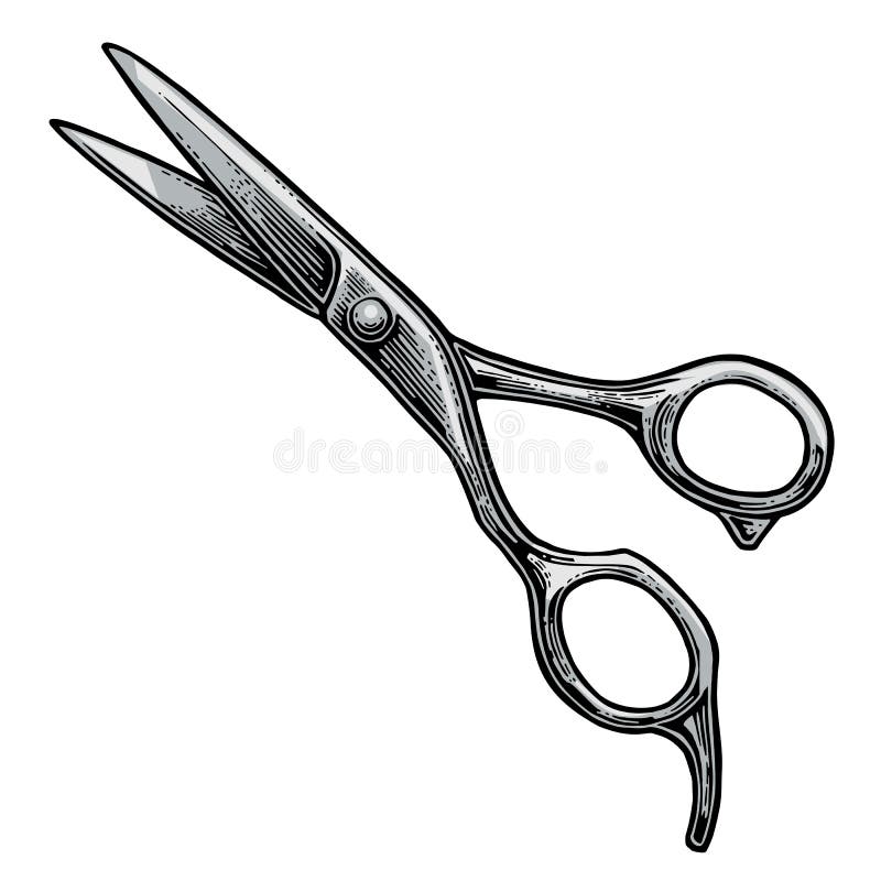 Shears. Vector Color Illustrations on White Backgrounds Stock Vector ...