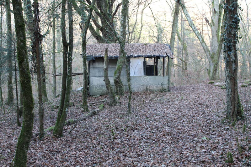 3,603 Broken Shed Stock Photos - Free & Royalty-Free Stock Photos from ...