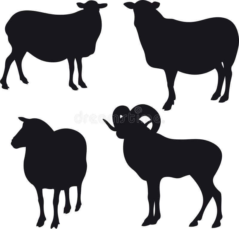 Silhouette mountain ram stock vector. Illustration of graphic - 6726173 Silhouette mountain ram stock vector. Illustration of graphic - 6726173