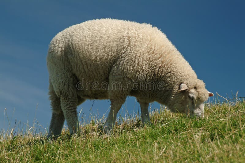 Traditional Spinning stock photo. Image of blur, woolen - 2193292