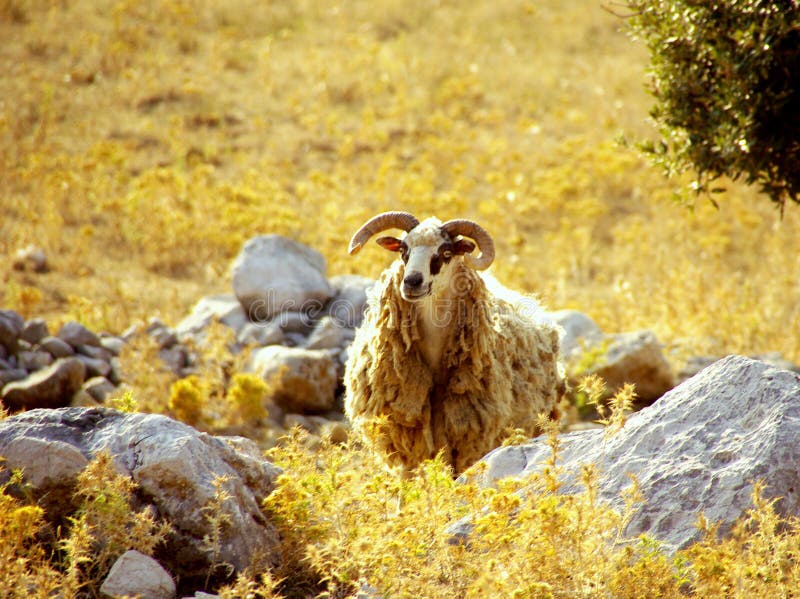 It s Time! stock photo. Image of object, reminder, concept - 5285844