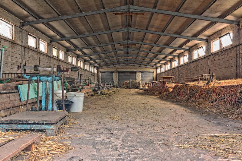 Sheep in a Barn stock image. Image of inside, clothing - 53642523