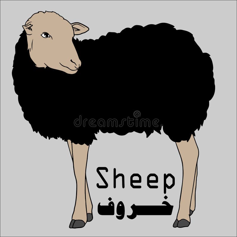 Sheep with Black Hair - Vector Illustrator Stock Illustration ...