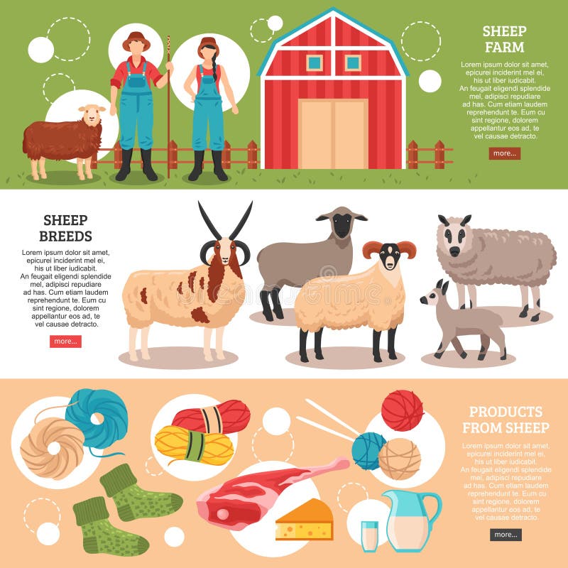 Sheep Grazing on Farmland Cartoon Poster Stock Vector - Illustration of ...