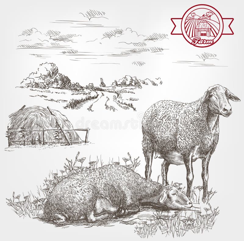 Breeding Sketch Stock Illustrations – 1,502 Breeding Sketch Stock ...