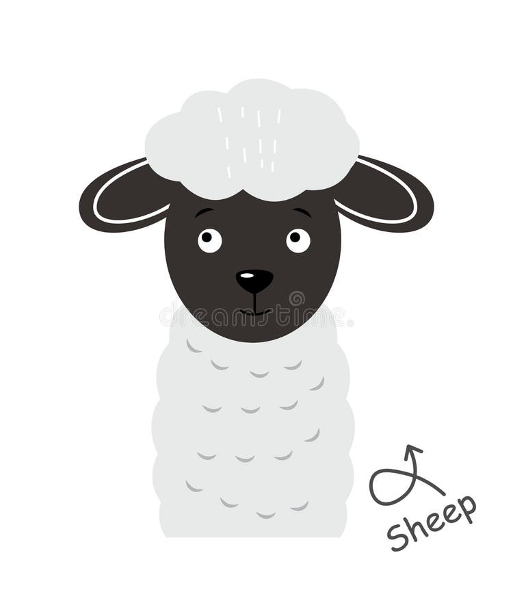 Half Sheep Face Stock Illustrations – 21 Half Sheep Face Stock ...