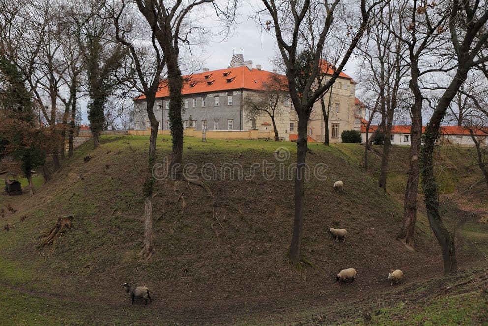 Sheep by the castle stock image. Image of forest, wide - 67743807