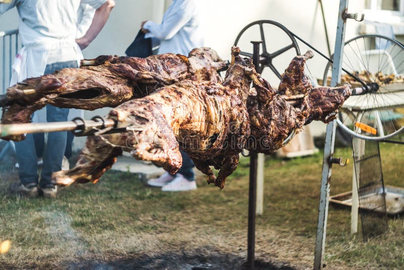 Sheep cooked on a spit stock photo. Image of grill, cooking - 109050170