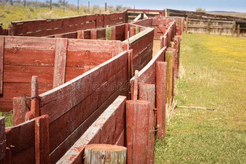 Sheep Corral stock photo. Image of antique, dock, sheep - 93167682