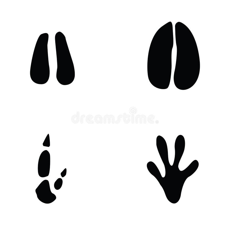 Kangaroo Footprint Stock Illustrations – 85 Kangaroo Footprint Stock ...