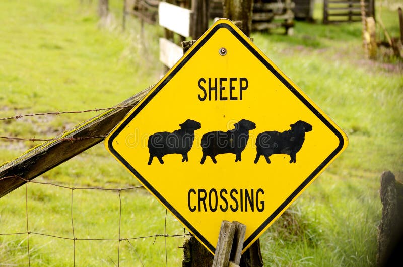 Sheep Crossing Sign Ranch Stock Photos - Free & Royalty-Free Stock ...