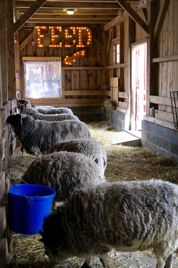 Red Barn Feed and Seed stock photo. Image of farmers - 130231652