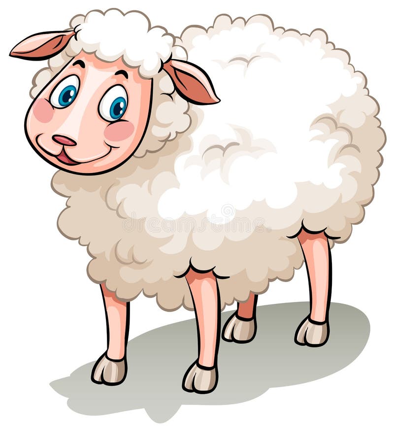 Sheep Flashcard Stock Illustrations – 66 Sheep Flashcard Stock ...