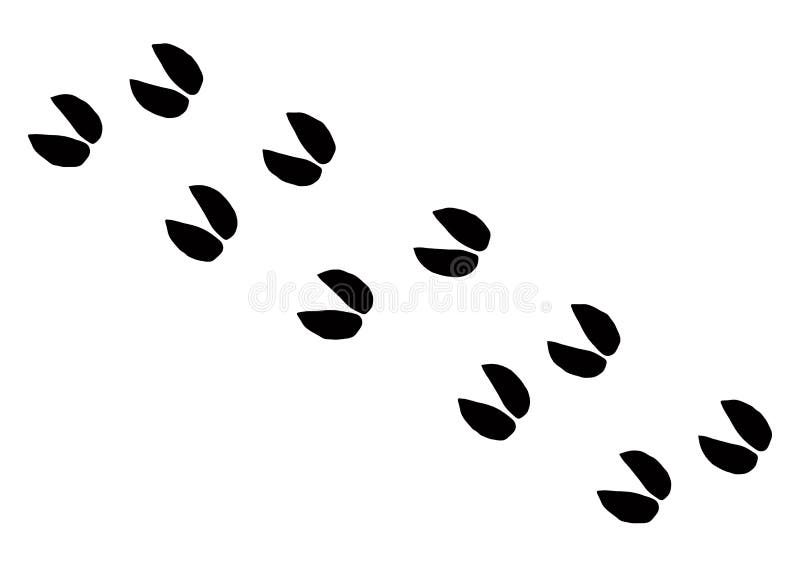 Impala Footprint Stock Illustrations – 62 Impala Footprint Stock ...
