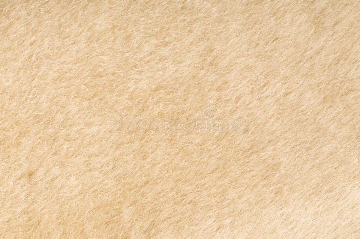 4,782 Sheep Hair Texture Stock Photos - Free & Royalty-Free Stock ...