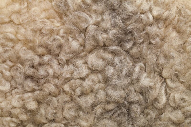 3,325 Sheep Hair Texture Photos - Free & Royalty-Free Stock Photos from ...