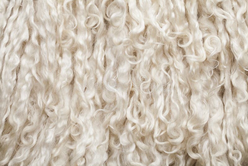3,325 Sheep Hair Texture Photos - Free & Royalty-Free Stock Photos from ...