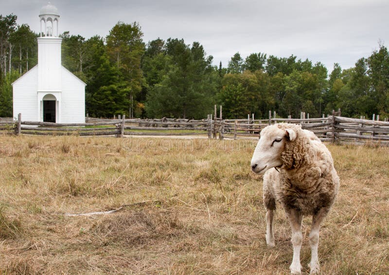 Lamb and church stock photo. Image of christianity, farm - 30025124
