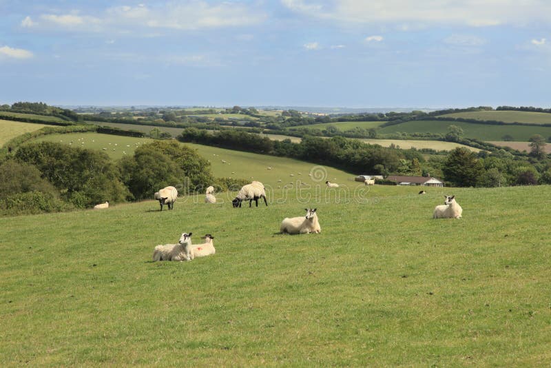 322 Exmoor Farm Stock Photos - Free & Royalty-Free Stock Photos from ...