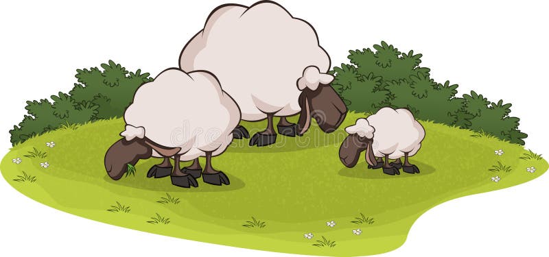 Sheep Grazing. Sheep on Grass Field Stock Vector - Illustration of ...