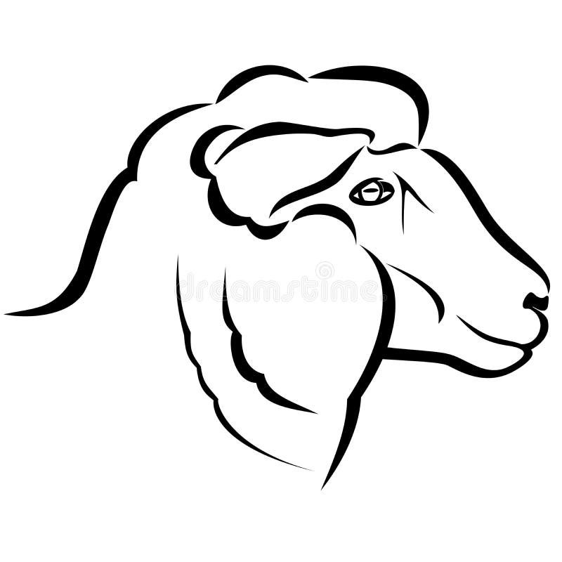Sheep head stock vector. Illustration of body, portrait - 47329157