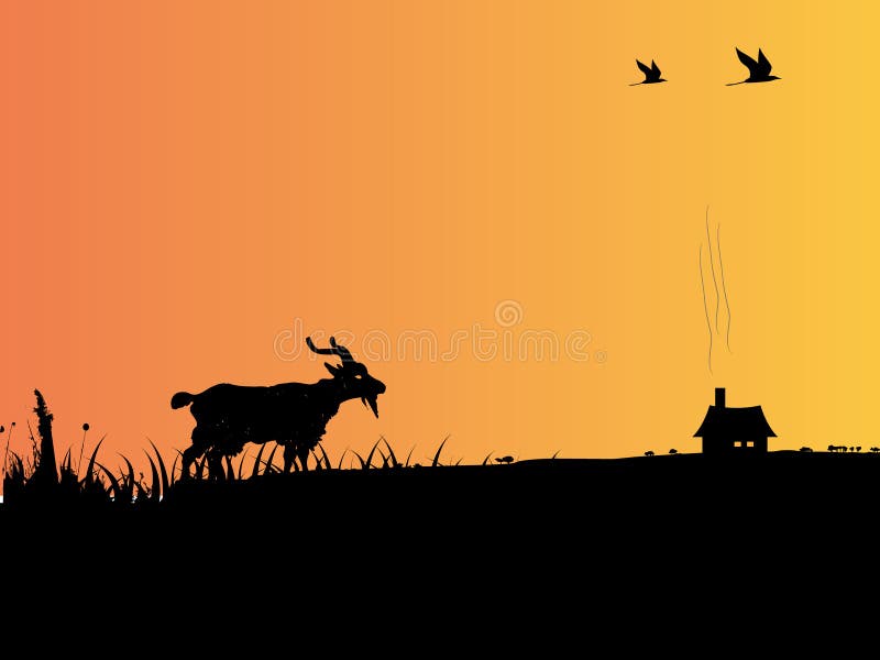 Sheep and house stock vector. Illustration of graphic - 15929478