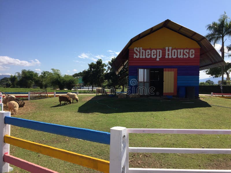 Sheep house in the farm stock image. Image of house - 135965603