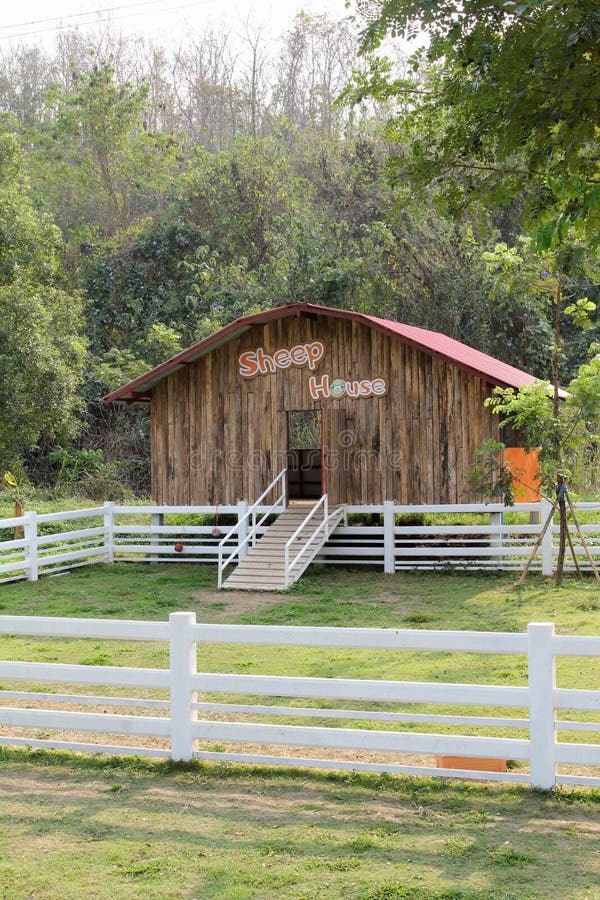 Sheep house in a farm stock image. Image of house, white - 232246067