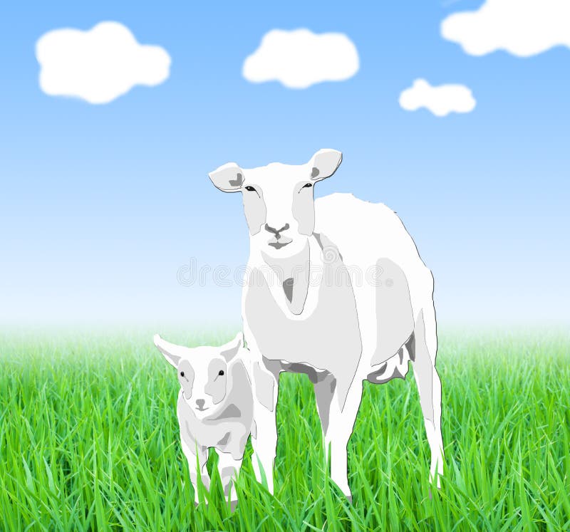Sheep illustrations stock illustration. Illustration of plant - 56219472