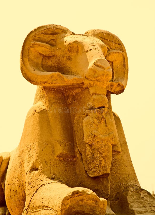 Sheep in Karnak temple stock photo. Image of pharaoh - 11189938