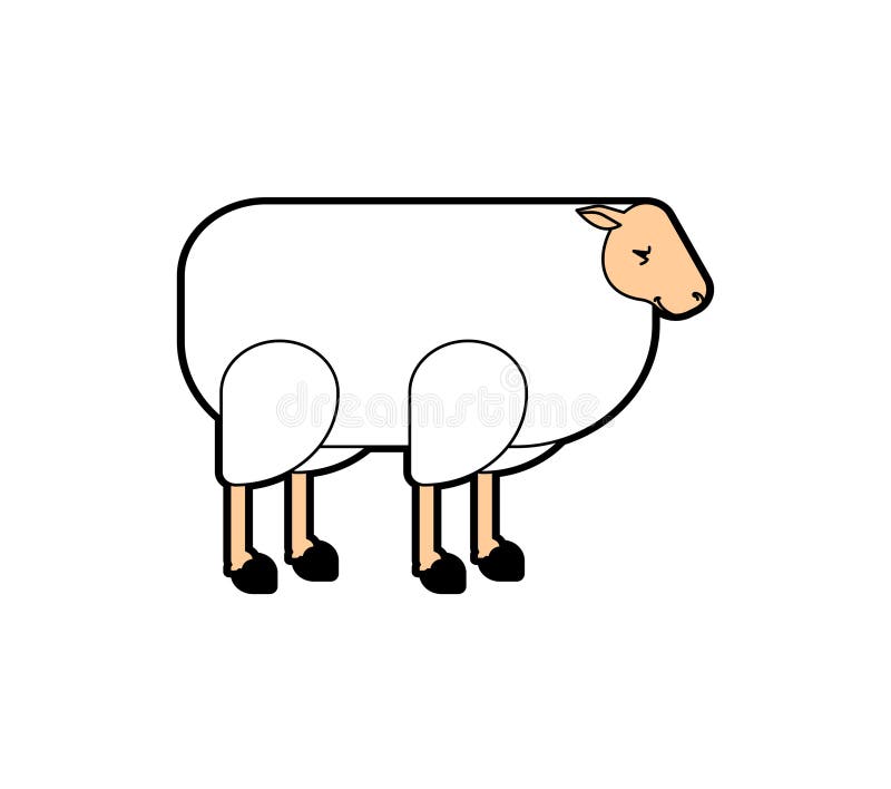 Sheep Linear Illustration. Ewe Isolated Stock Vector - Illustration of ...