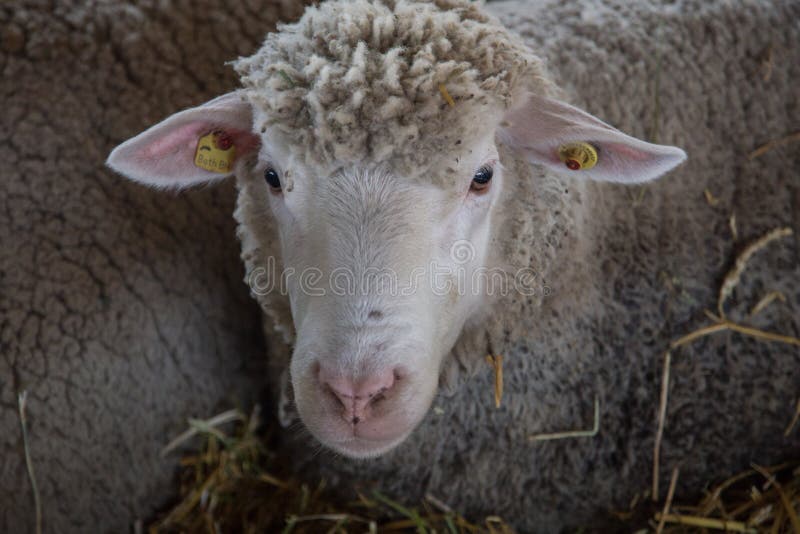 Filip Ilic (Mrkovalski) - Photographer profile