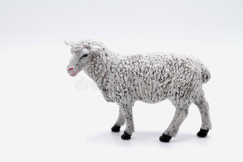 Sheep Miniature Figurine Toy on a White Background Stock Image - Image ...