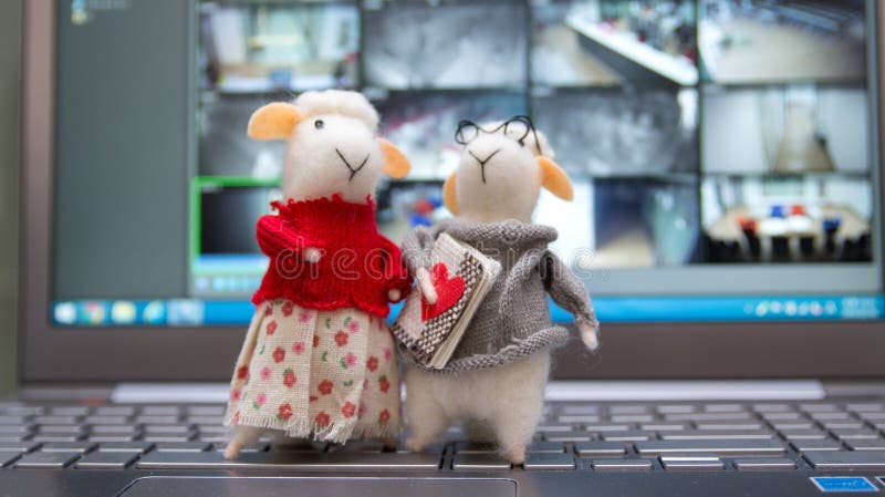 A Sheep Model Wearing Clothes Looking at a Program in Front of a ...
