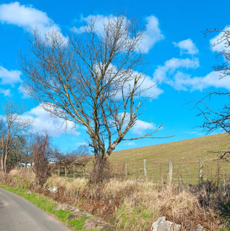 Sheep Pasture, Stone Walls, Haylands Bridge Over River Ure, Hawes ...