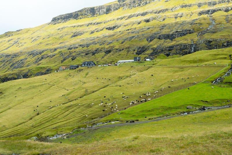 Sheep Pasture, Stone Walls, Haylands Bridge Over River Ure, Hawes ...