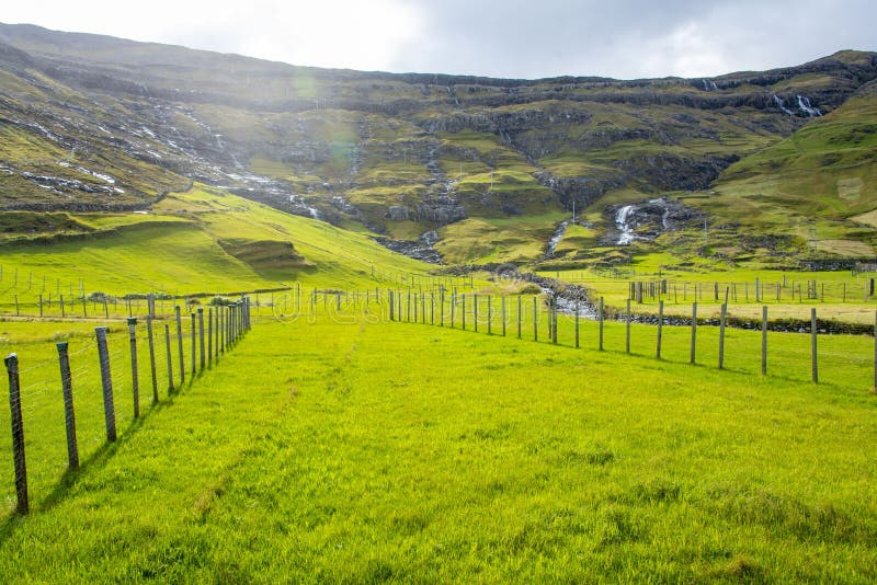 Sheep Pasture, Stone Walls, Haylands Bridge Over River Ure, Hawes ...