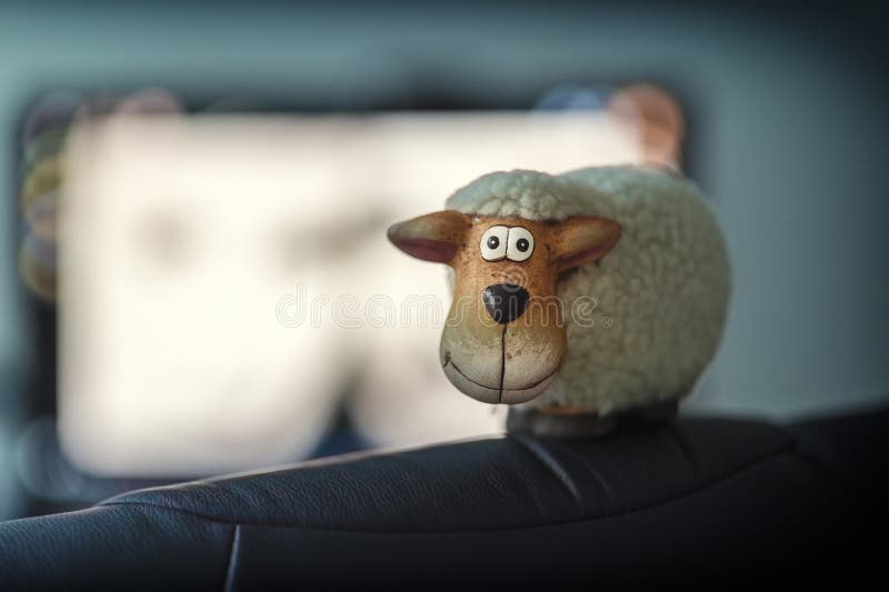 Sheep at Monitor Pass stock photo. Image of fields, fall - 16521146