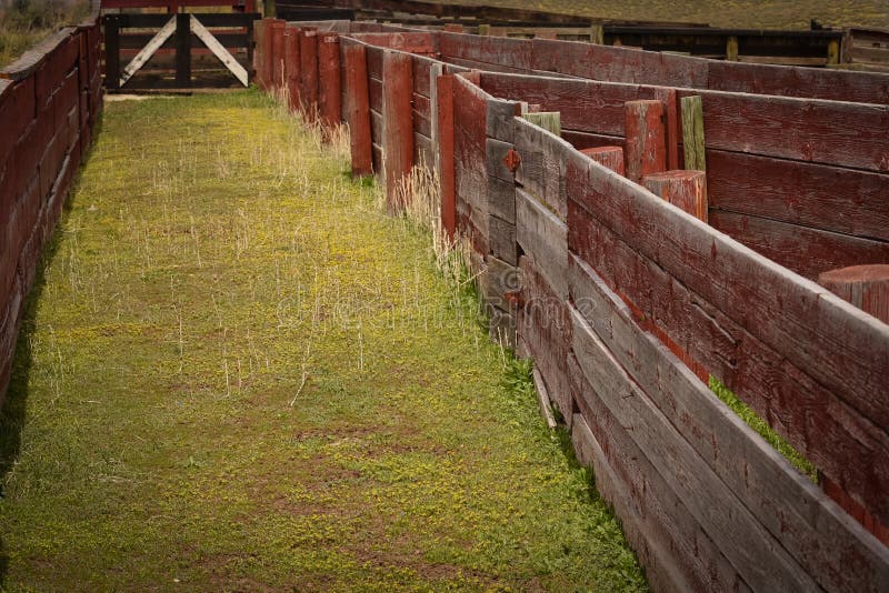 Sheep Pen stock photo. Image of farm, country, wood, landscape - 93167770