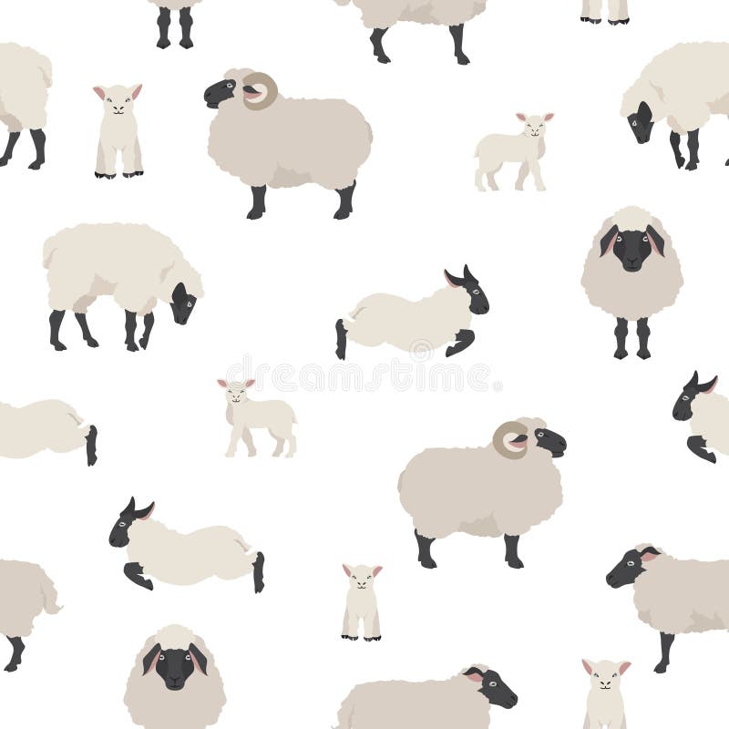Sheep Poses Seamless Pattern. Farm Animals Set Stock Vector ...