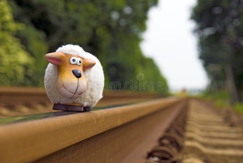 Sheep on rails stock photo. Image of tracks, rust, ballast - 12820132