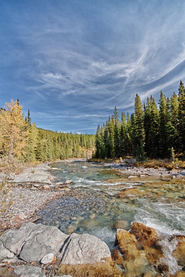 Elbow Sheep Stock Photos - Free & Royalty-Free Stock Photos from Dreamstime