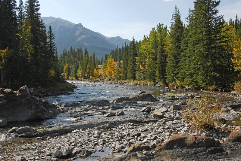Sheep river valley stock photo. Image of creek, lookout - 7255732