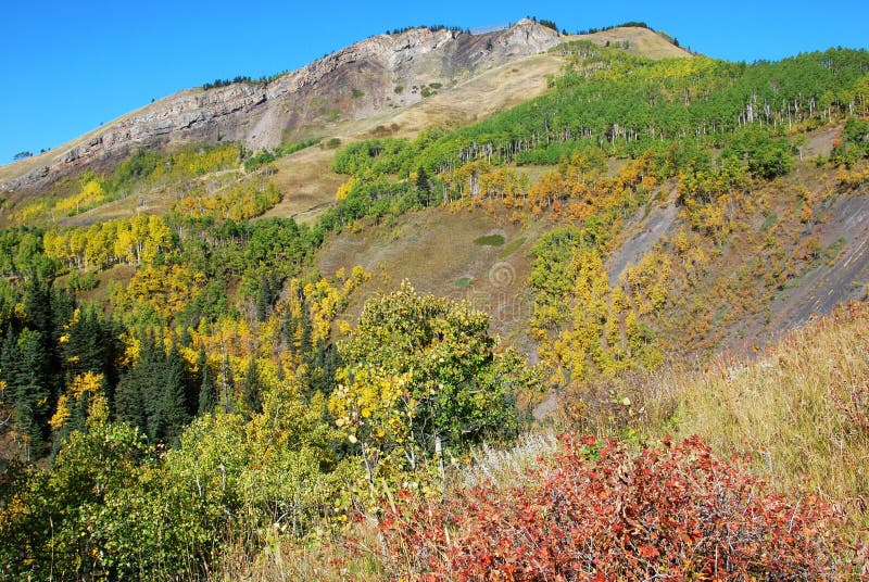 Sheep River Valley in Autumn Stock Photo - Image of mammal, farm: 7329606