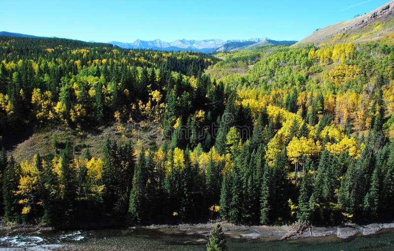 Sheep River Valley in Autumn Stock Photo - Image of organ, forest: 7330622