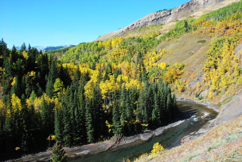 Sheep River Valley in Autumn Stock Image - Image of bull, beautiful ...