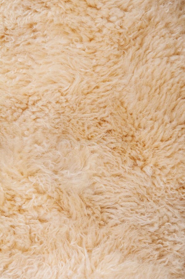 Sheep`s Wool. Sheep Wool Texture Lamb Background Stock Image - Image of ...