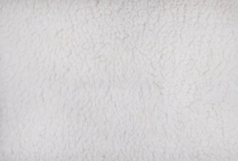 Sheep wool texture stock photo. Image of macro, fluffy - 144856250