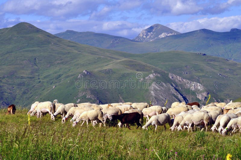 Shar Mountain Lake Panorama Stock Image - Image of ledge, hike: 92443443